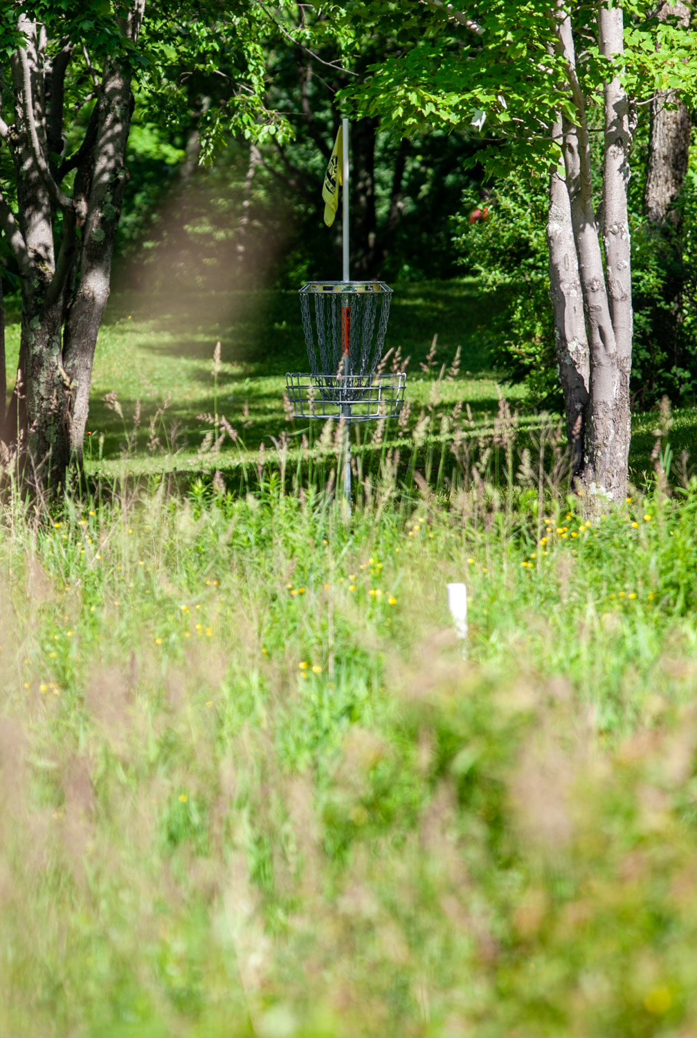 Smuggler’s Notch Disc Golf
